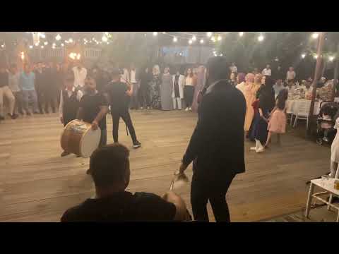 Şahê Bedo / Harika Düğün Performansı / 2023