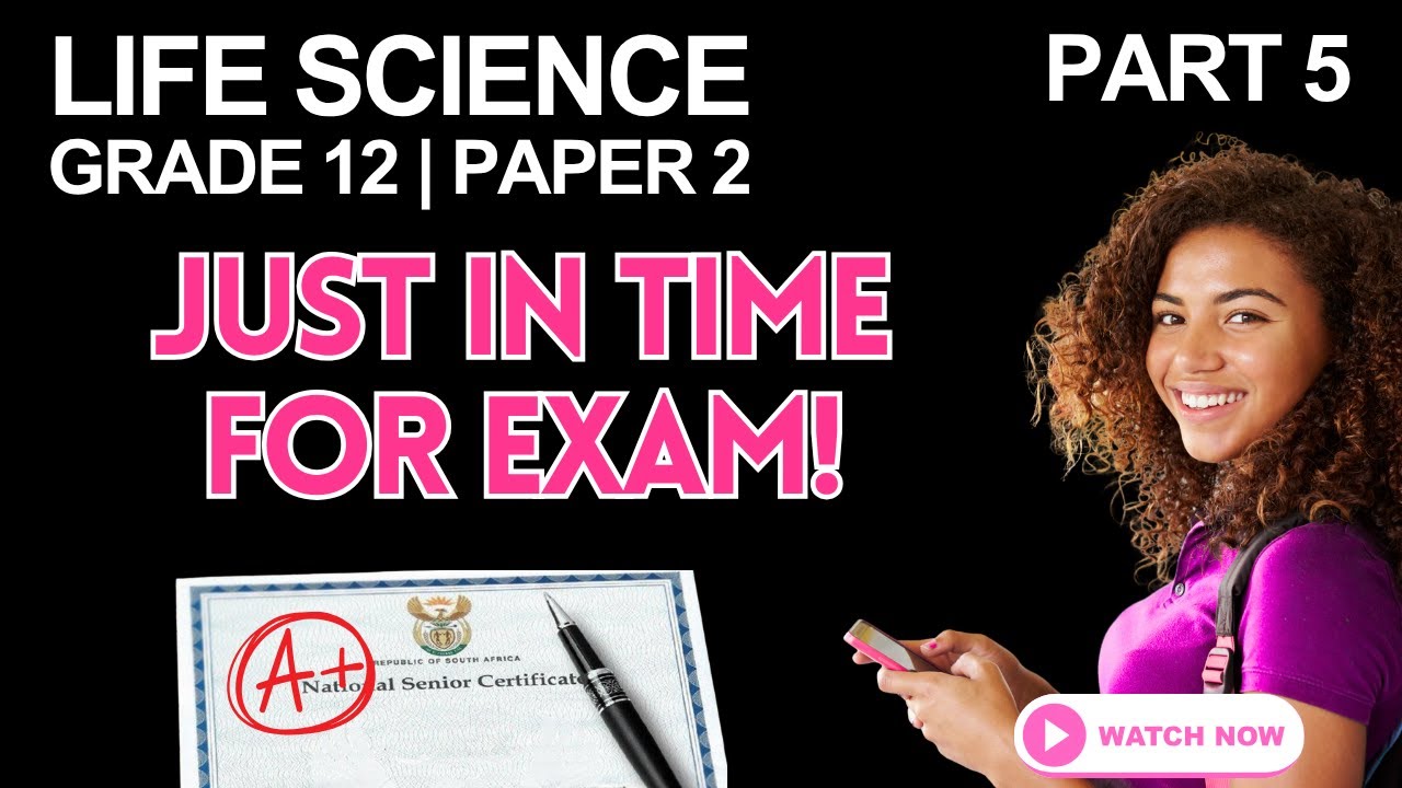Life Science | Grade 12 | Paper 2 Revision - Evolution | Just in Time ...