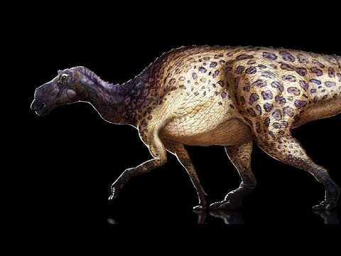 | Maiasaura peeblesorum | DinoBio #8 - YouTube