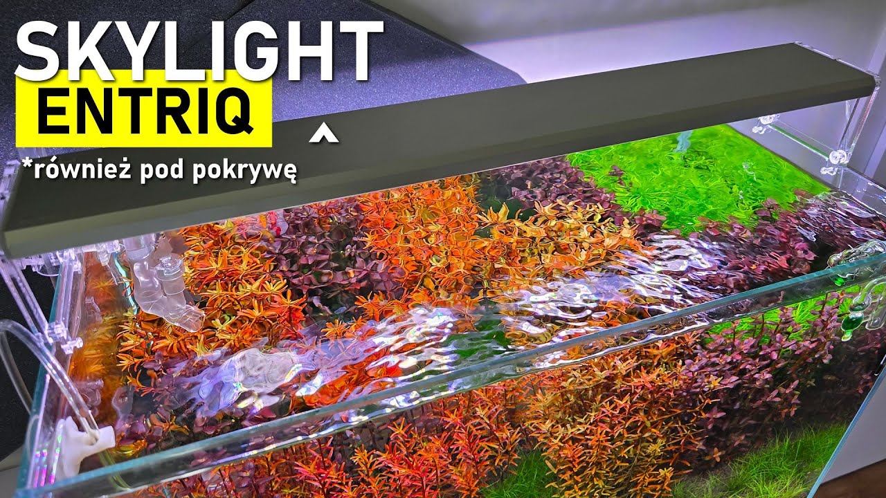 SkyLight Entriq - Lampy do Akwarium - YouTube