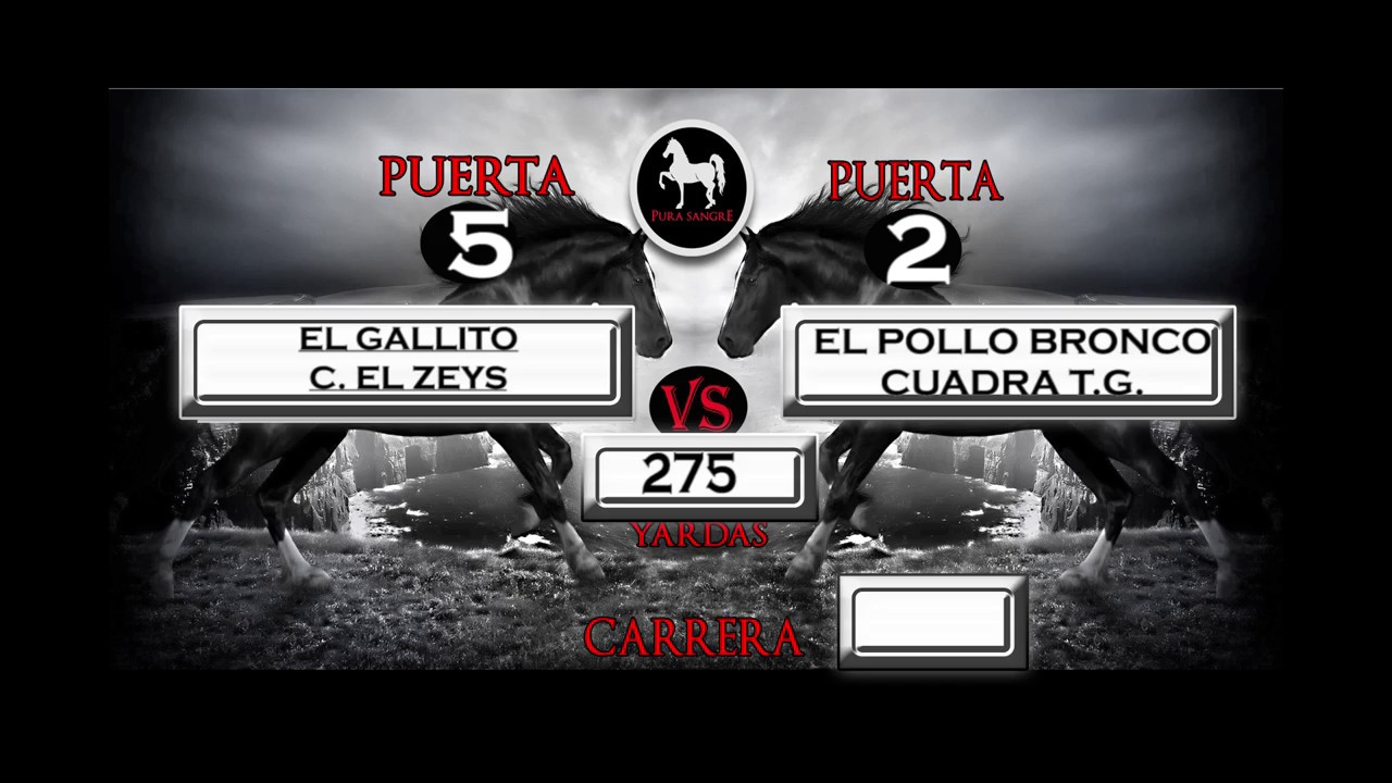EL POLLO BRONCO VS EL GALLITO - 17 SEP 17 - PUERTO MEXICO RACE TRACK ...