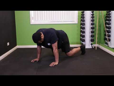 Prone Hold: Exercise Demonstration - YouTube