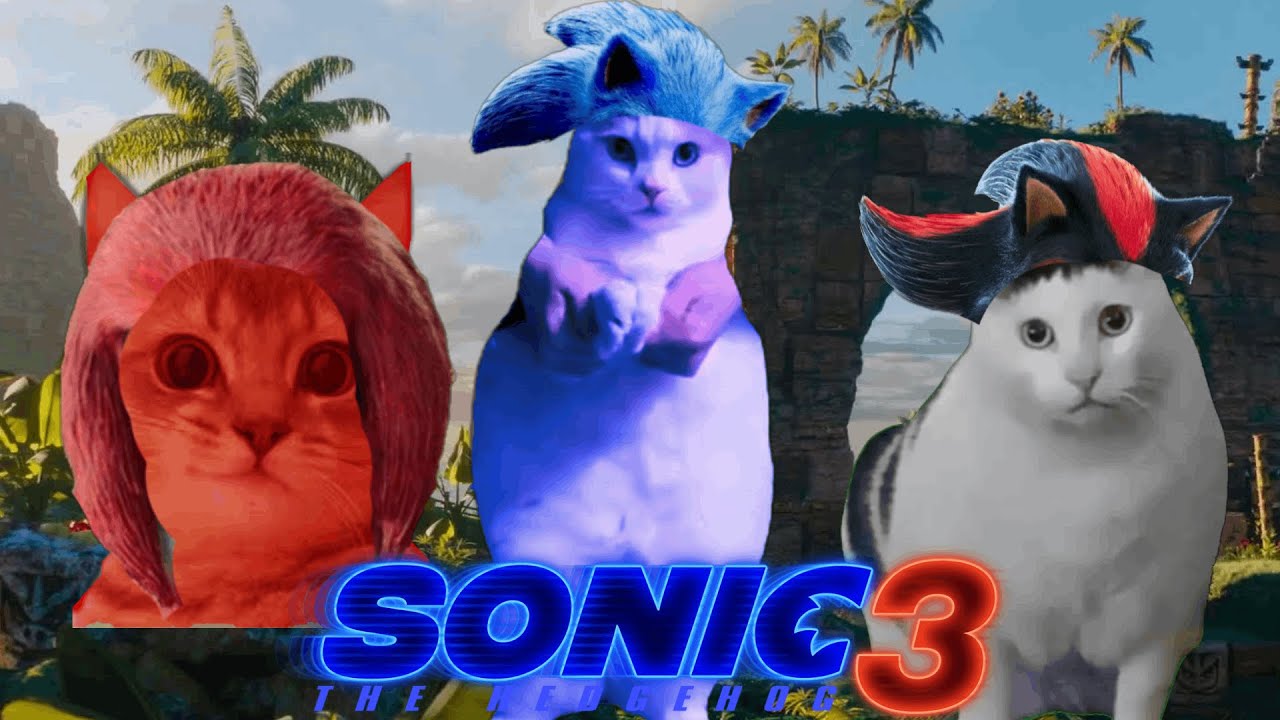 Sonic The Hedgehog Movie 3 | CAT MEMES - YouTube