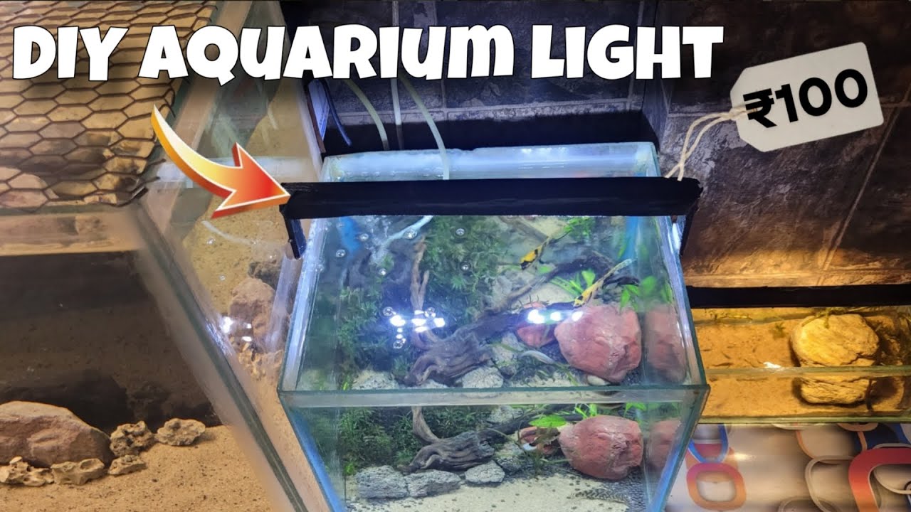 DIY Aquarium Light For Just 100 - YouTube