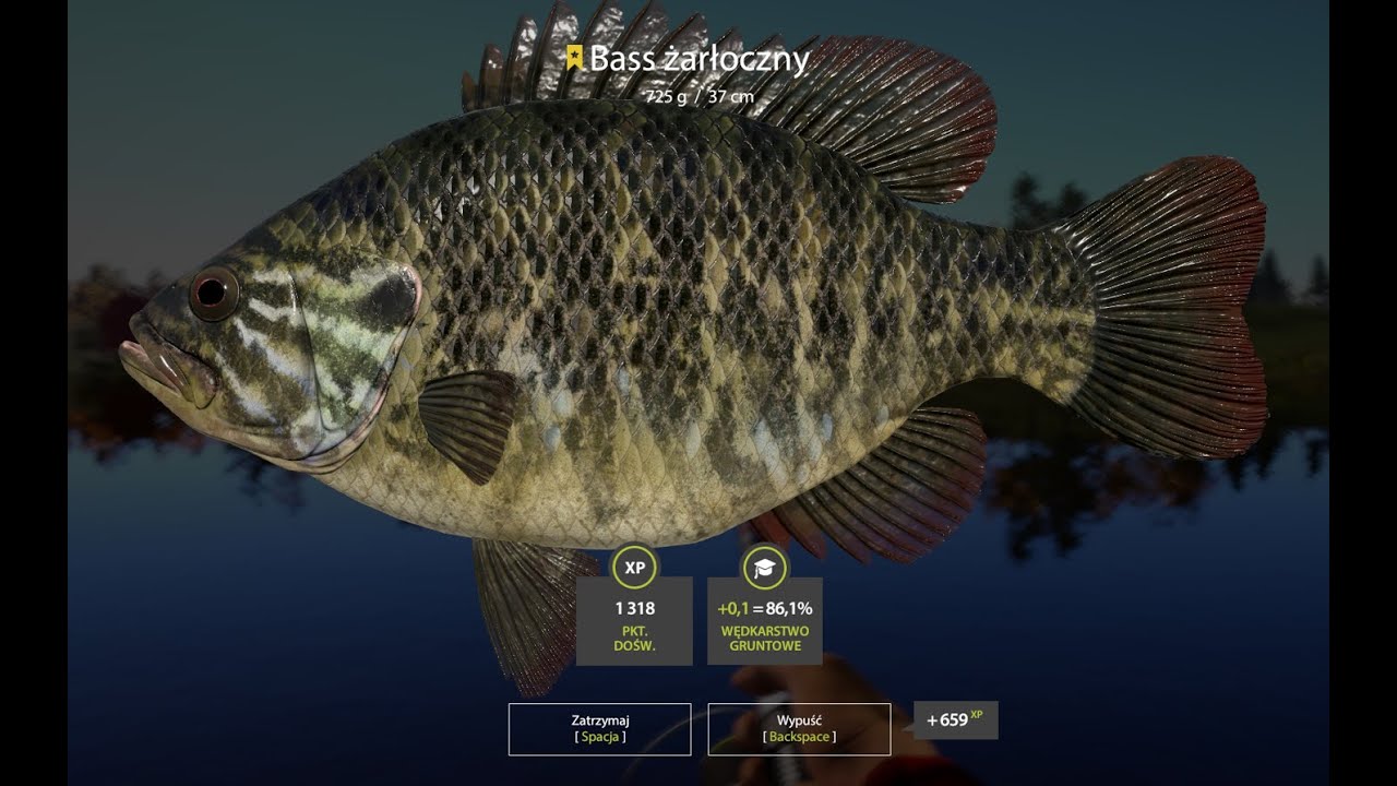 Russian Fishing 4 S2Ep19 Elk Lake (Jezioro Elk) Trophy Warmouth (Bass ...