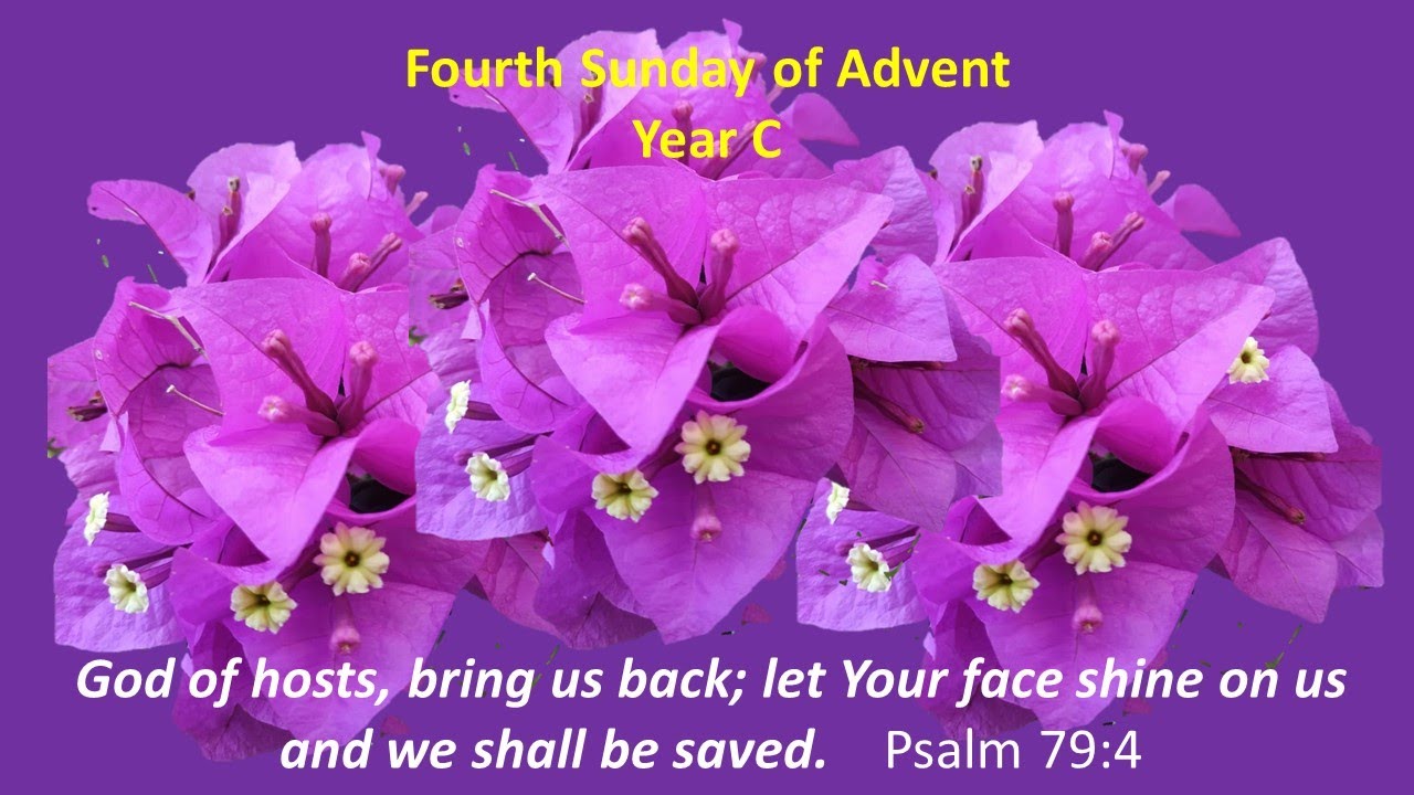 4th Sunday of Advent (Year C) - YouTube