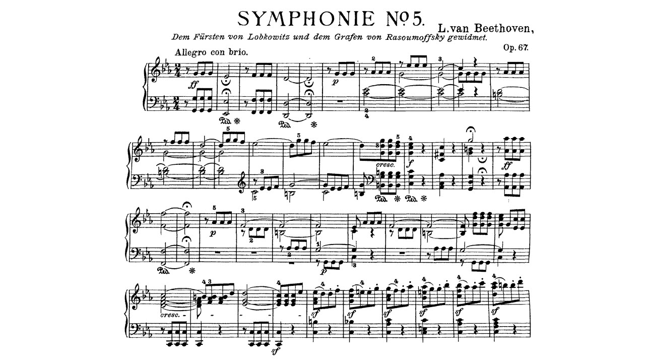 Beethoven/Singer II: Symphony No. 5 – 1st mov. ― Hayoung Jeong (2024 ...