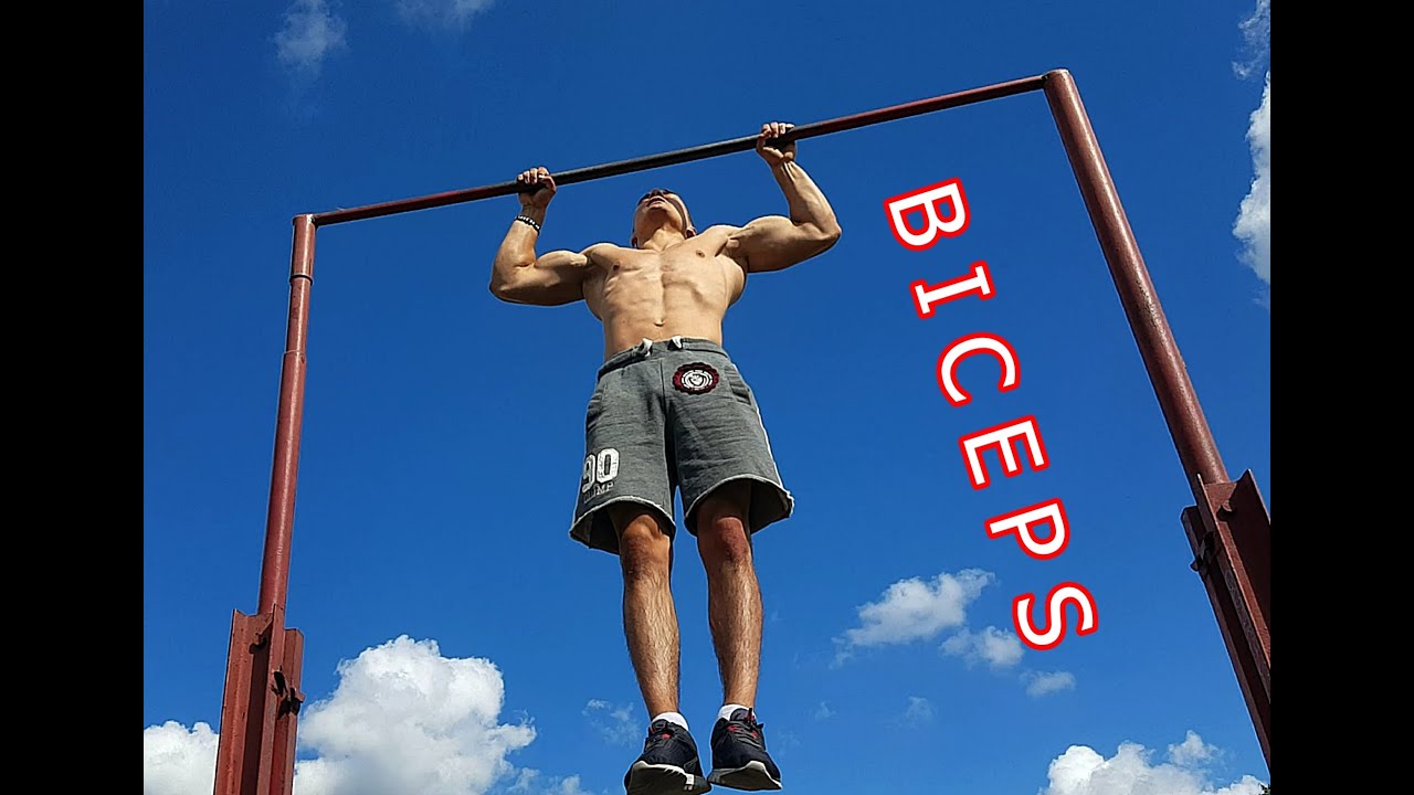 Jak rozbudować i wyrzeźbić BICEPS (BEZ SIŁOWNI) - ĆWICZENIA - YouTube