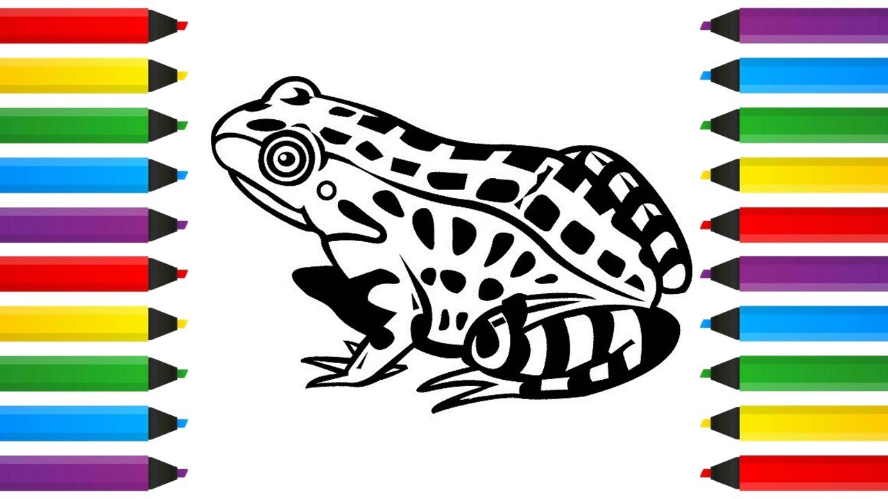 Frog Animal Coloring | Coloring Book Pages | Speed Coloring - YouTube