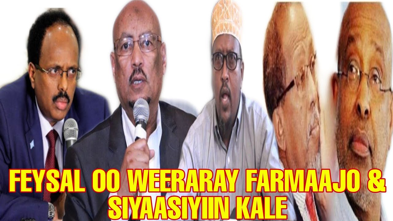 Feysal Ali waraabe oo weerar culus ku qaaday farmaajo & siyaasiyiin ...