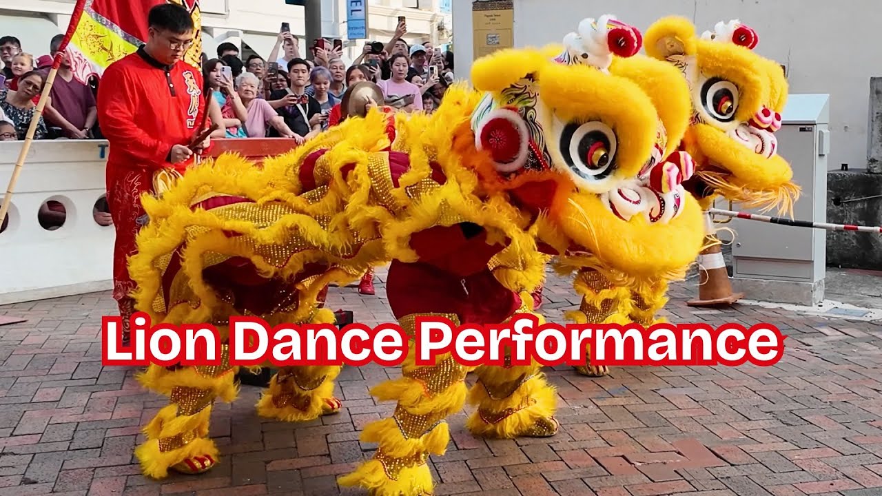 Enjoy agile Lion Dance Performance In Chinatown | Tian Eng Lion Dance ...