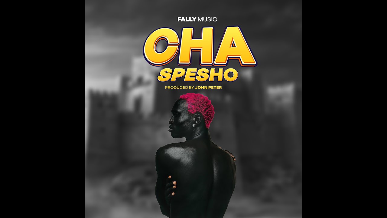 Fally Music - Cha Spesho (official music audio) - YouTube