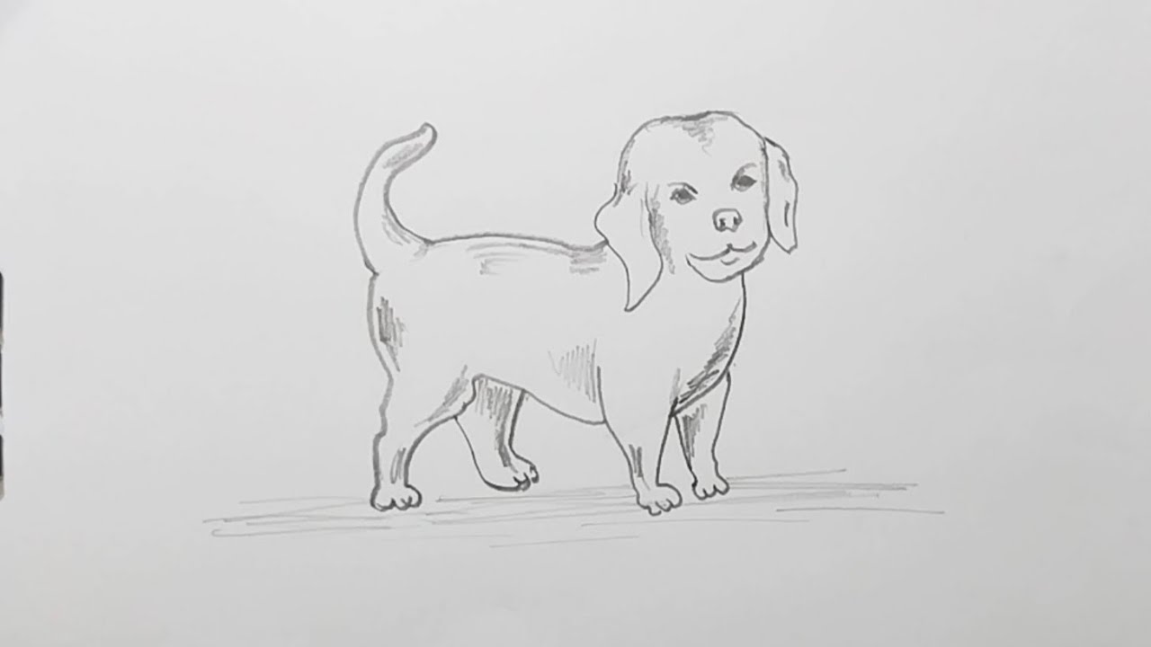 simple steps to draw a picture. kids education purpose video. # ...