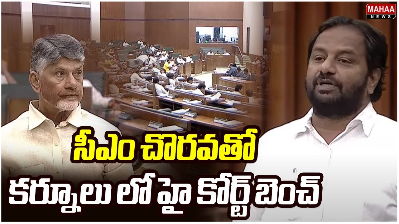 సీఎం చొరవతో కర్నూలు లో హై కోర్ట్ బెంచ్ TDP MLA Shajahan Basha About ...