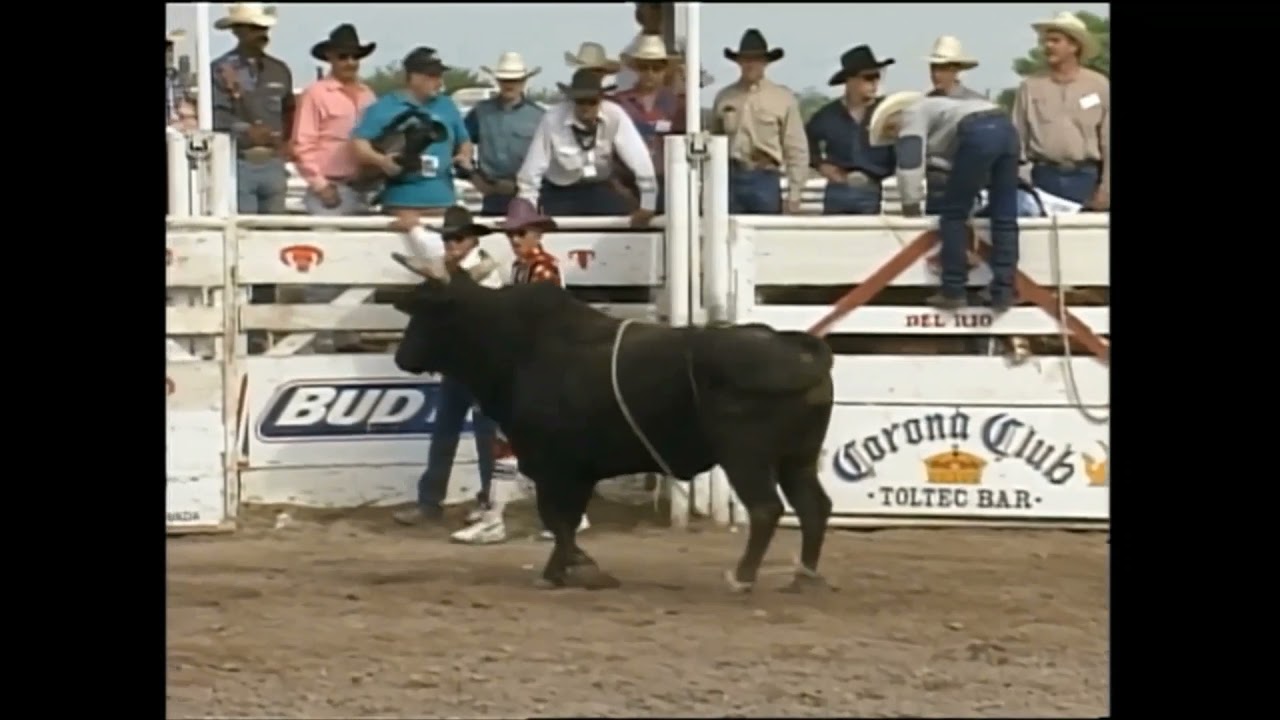 Wild Thing bucks Aaron Semas - 95 PBR Del Rio - YouTube