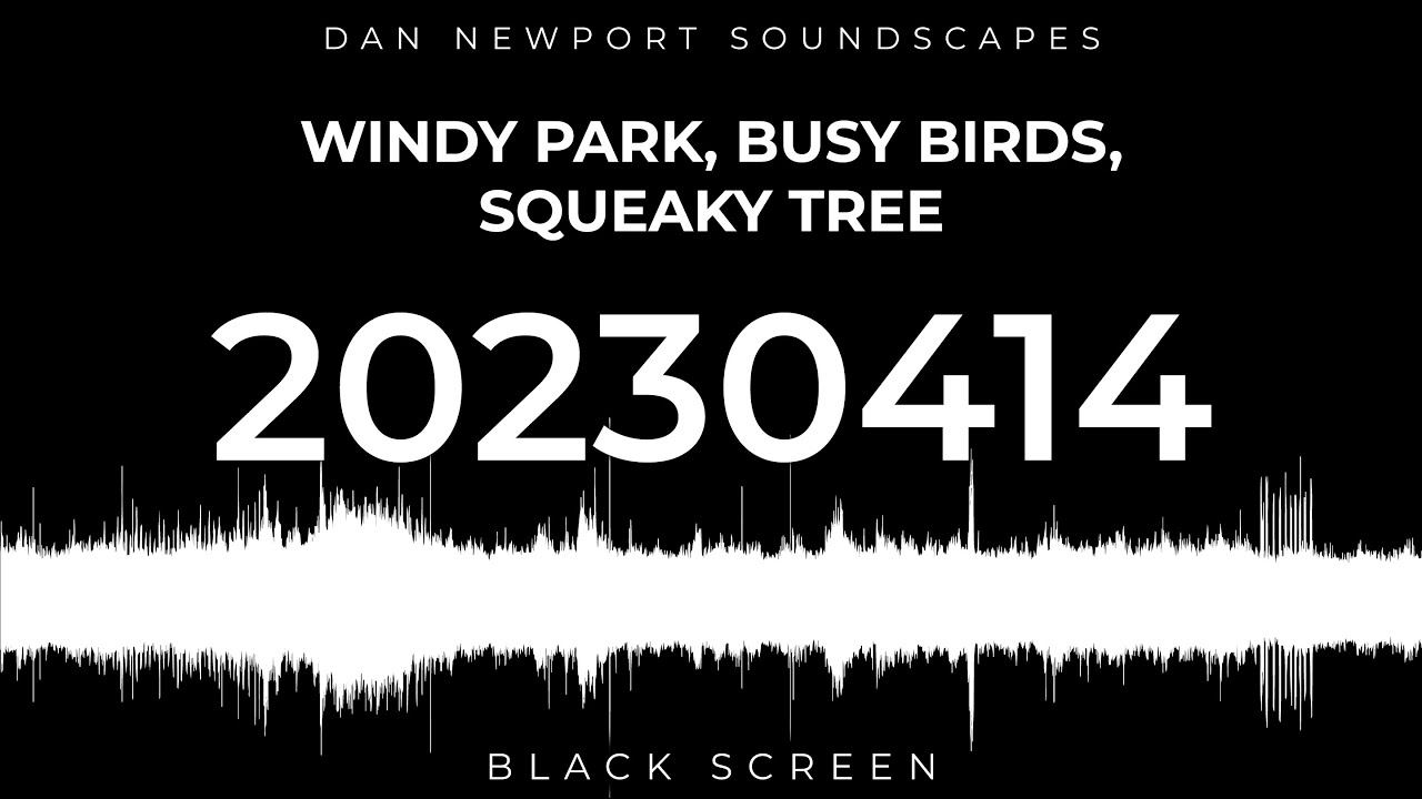 20230414 - Windy park, busy birds, squeaky tree - Soundscape by Dan ...