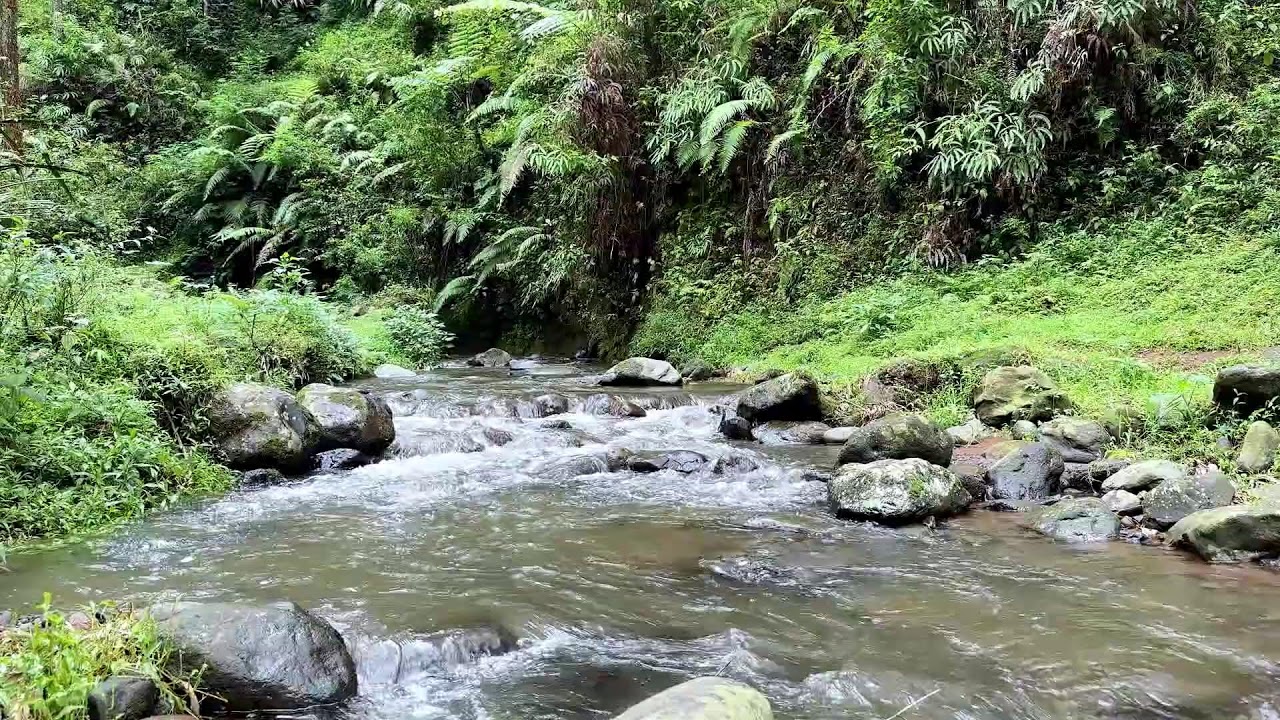 Soft River Stream Ambience for Sleep and Restful Nights | Gentle Water ...