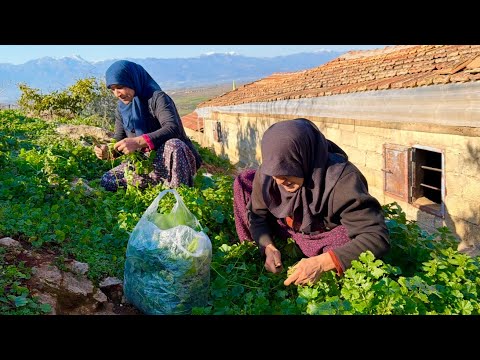 Uzak Dağ Köyünde İki Kız Kardeşin Yaşamı | Kırsalda Rahat Yaşam Belgeseli