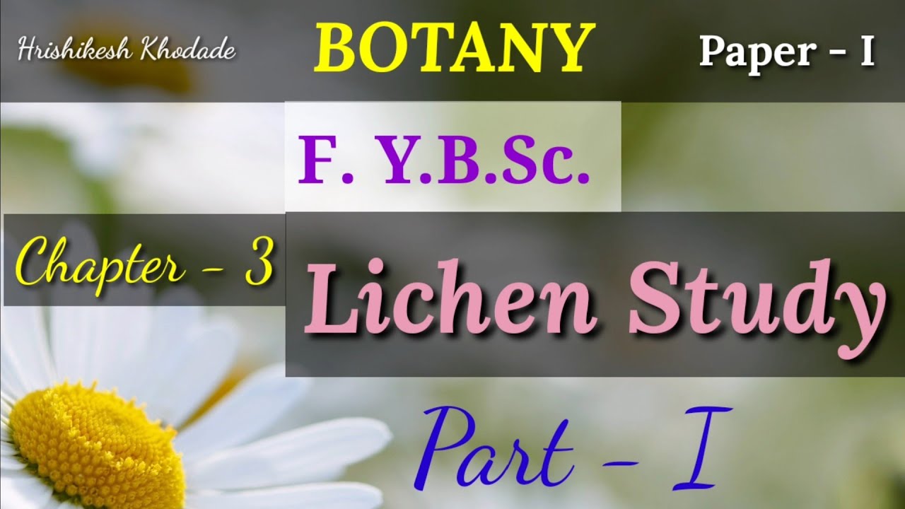 FYBSc | Botany | Lichen Study | Introduction | General Character ...