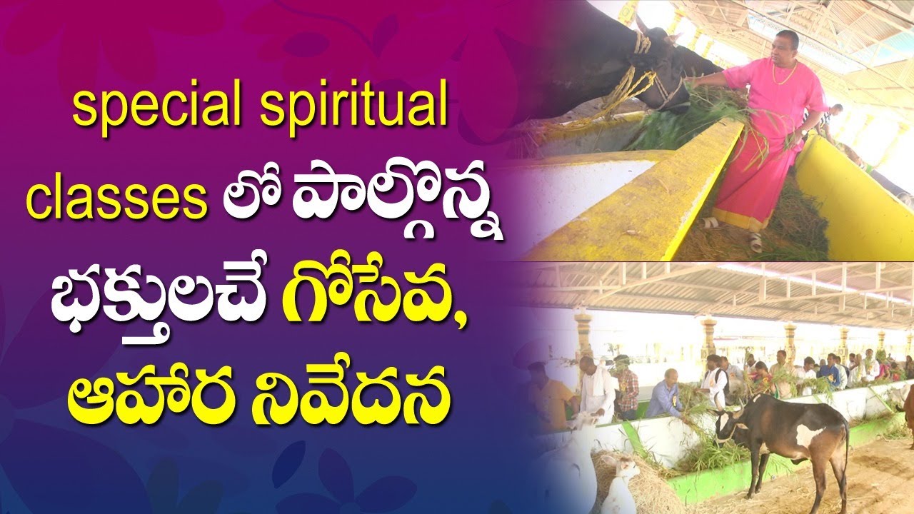 Goseva by Participants of Special spiritual Classes | Goseva | Sahasra ...