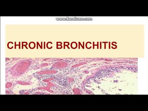 Chronic bronchitis: Etiopathogenesis and Morphology - YouTube