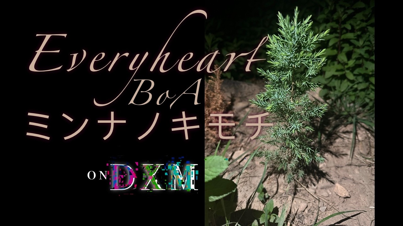BoA - Every Heart on DXM - YouTube