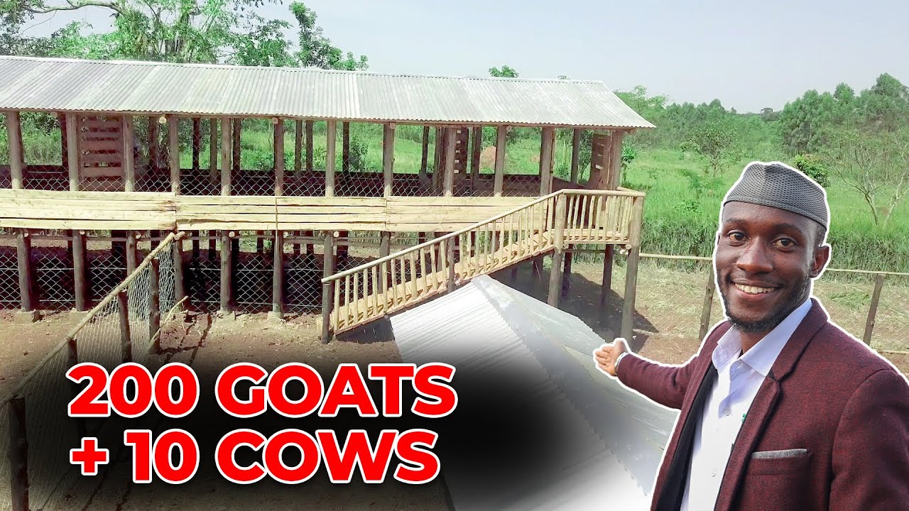 The Ultimate Goat and Cow Farm Setup – A Complete Tour! - YouTube