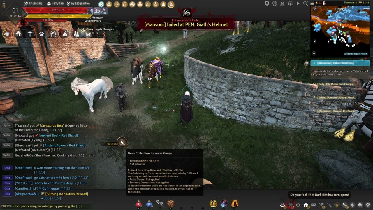 Black Desert Online bug/glitch - YouTube