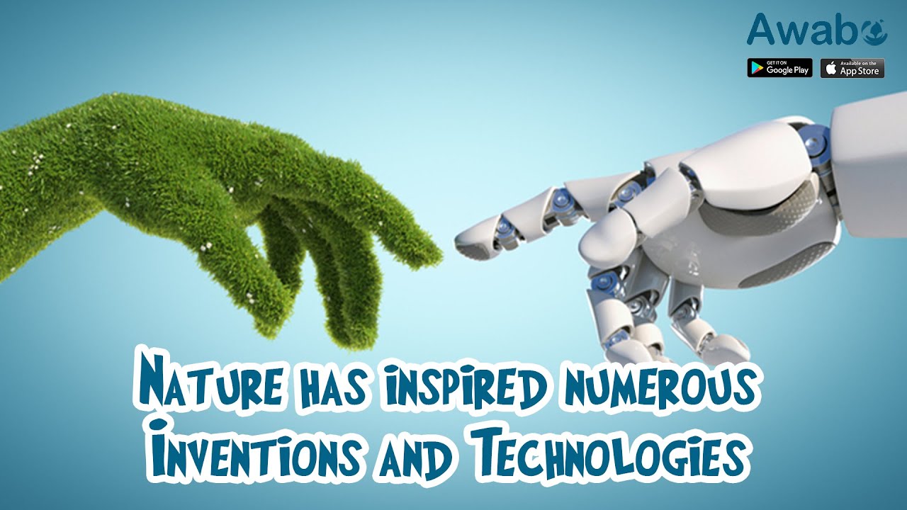Nature has inspired numerous inventions and technologies - YouTube