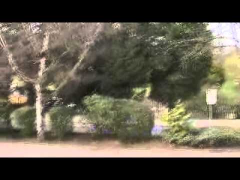 FAT MAN SCREAMING PART 5 - YouTube