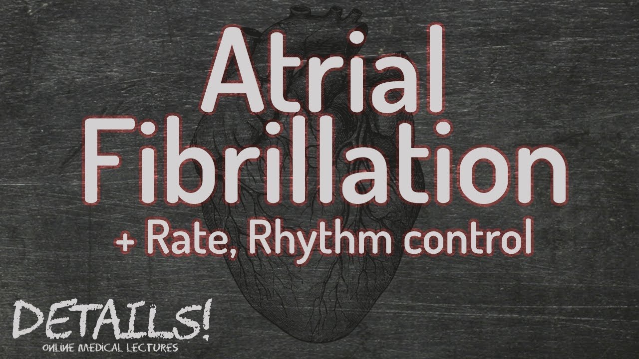 Atrial Fibrillation | Rate or Rhythm control? | Details - YouTube