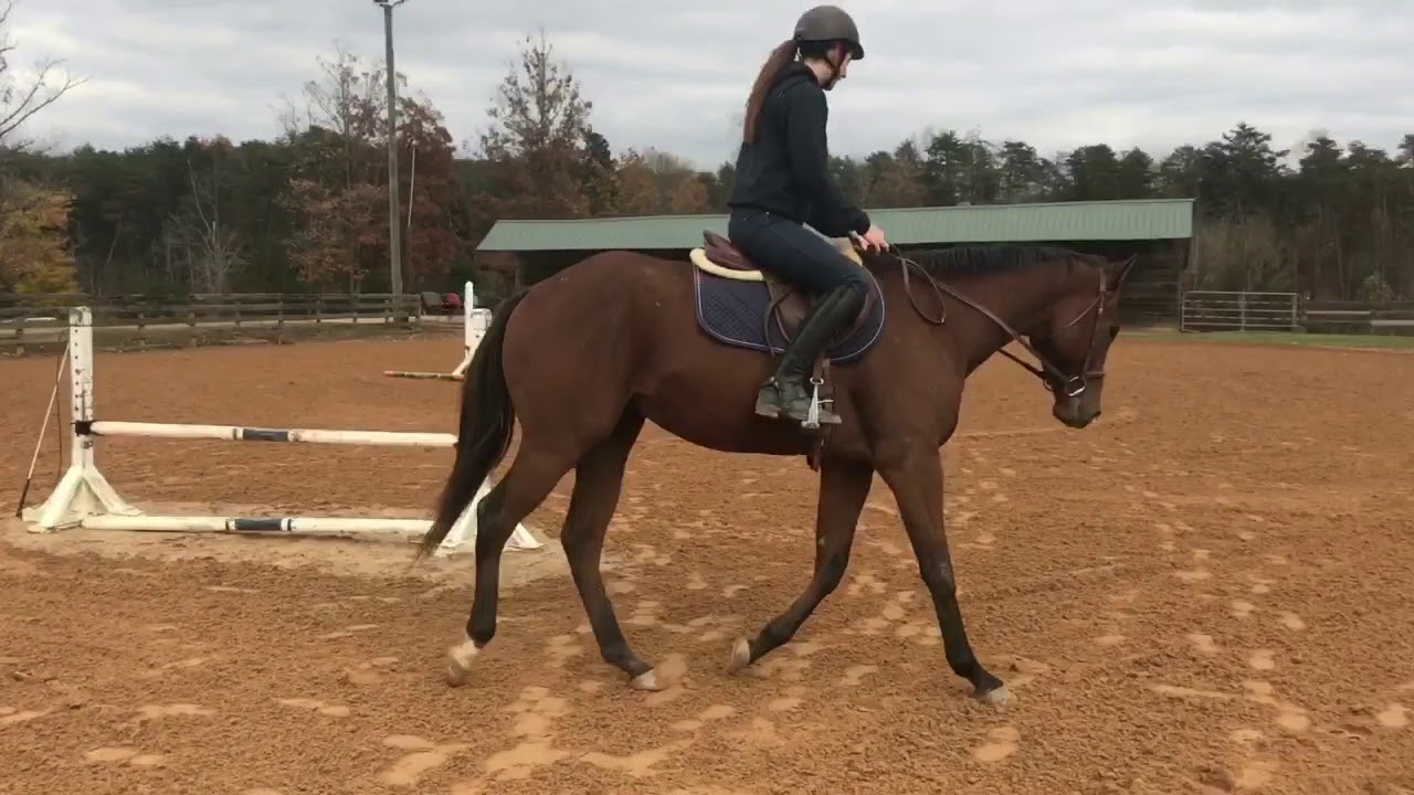 Doctor Mitten 11/14/17 - YouTube