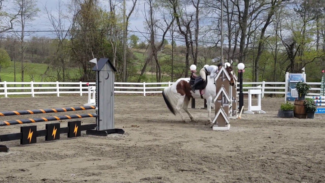 Jumpers Course Horse Refusal - YouTube