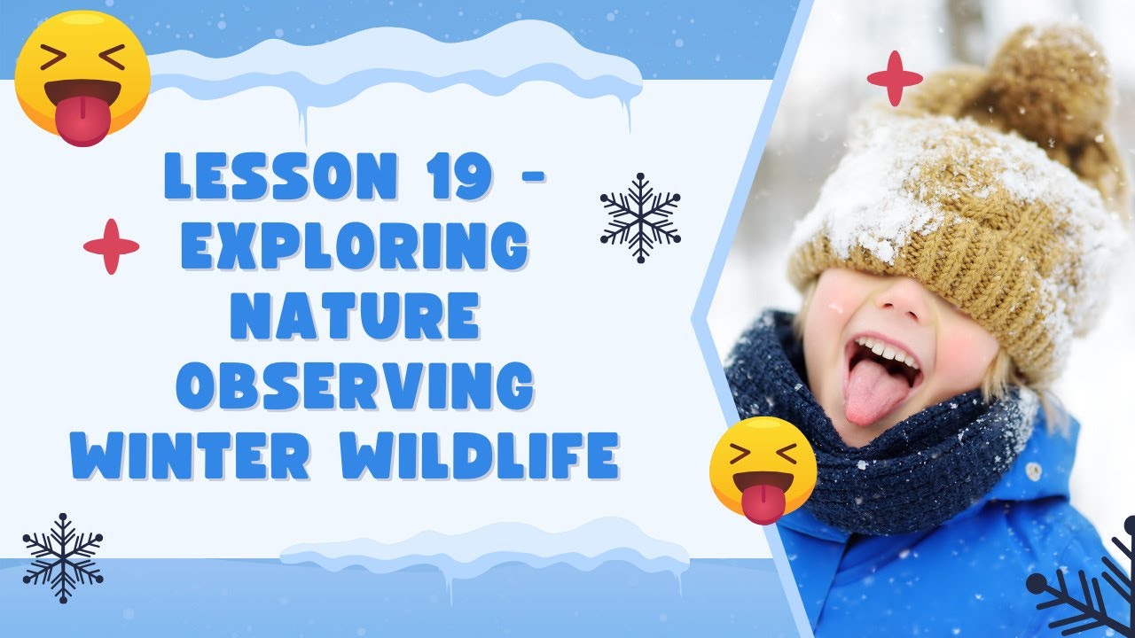 Lesson 19 Exploring Nature Observing Winter Wildlife kids podcast - YouTube