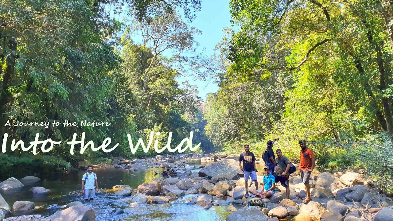 A Journey To The Nature - YouTube
