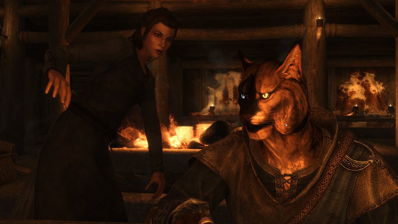Khajiit's Night At Dead Man's Drink | Skyrim - YouTube