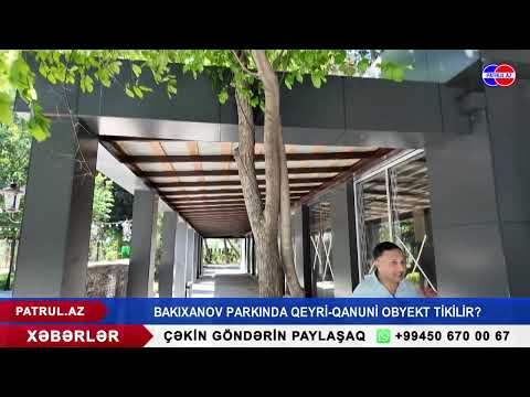 “Ağaclar əsir götürülüb” iddiası nə dərəcədə doğrudur? çəkilişlər fərqli mənzərə ortaya çıxardı