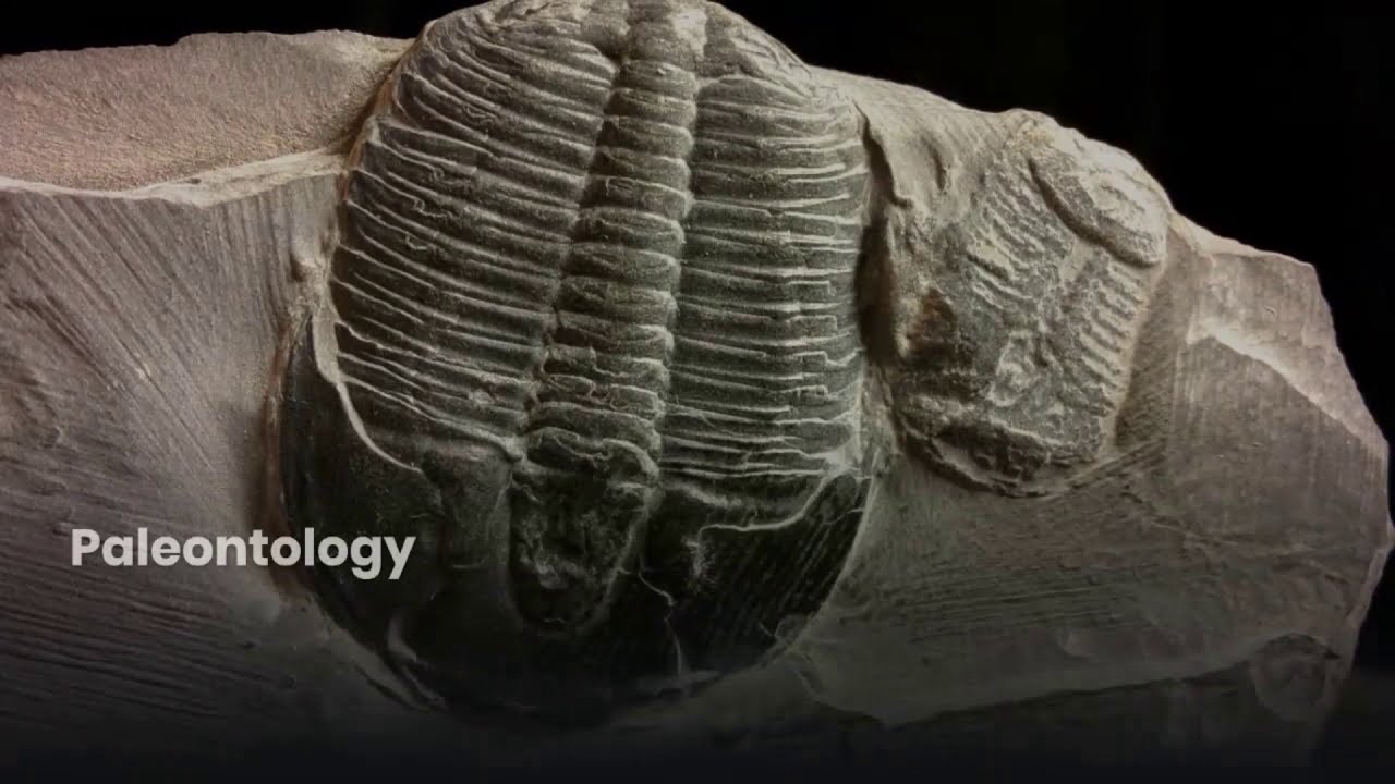 geology branches | branches in geology | geology for all | Geology GIS ...