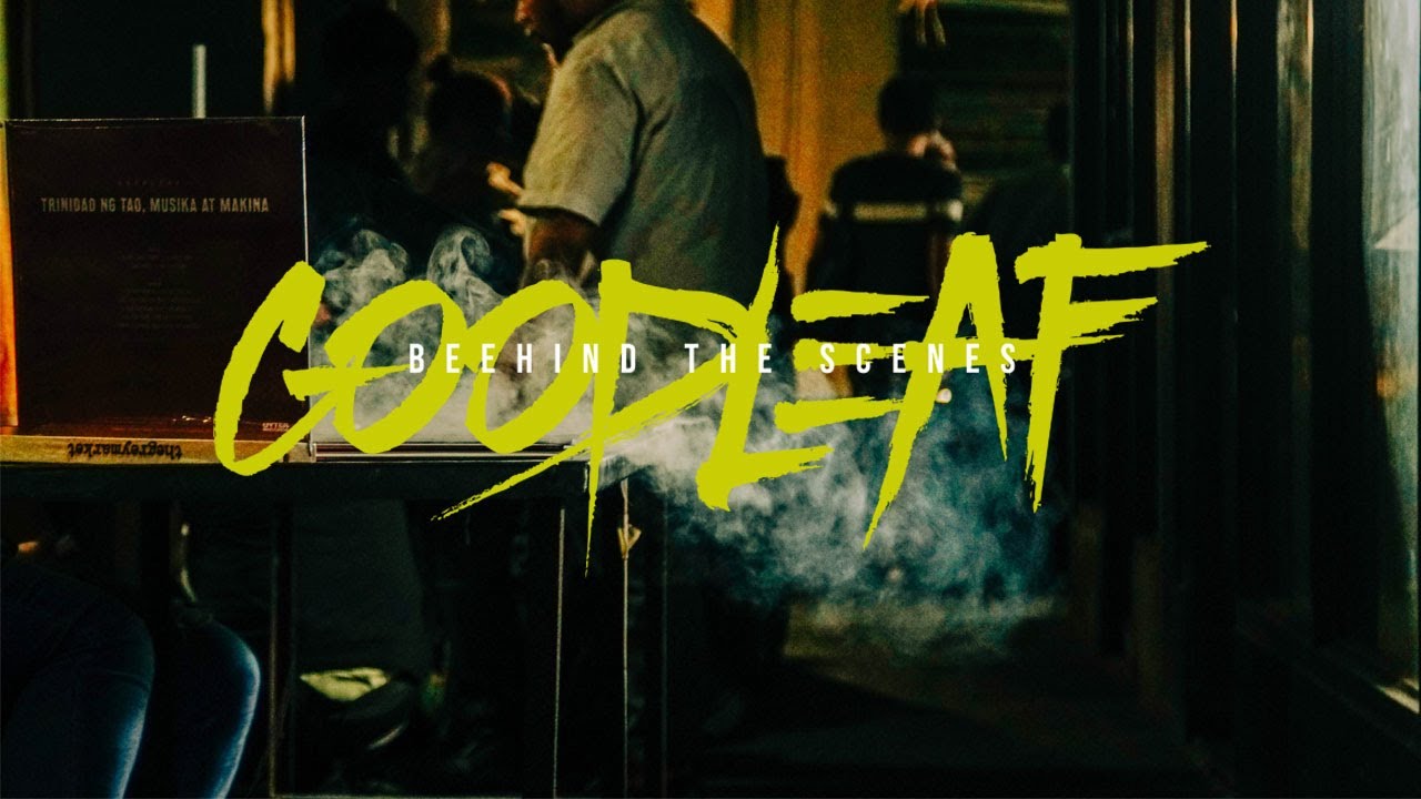 Goodleaf Vinyl Launch - YouTube