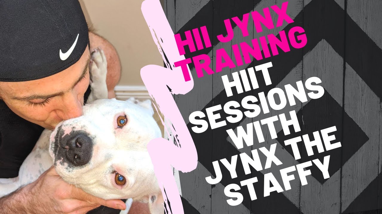 Hi Jynx Training 21 (20 Minute HIIT) - YouTube