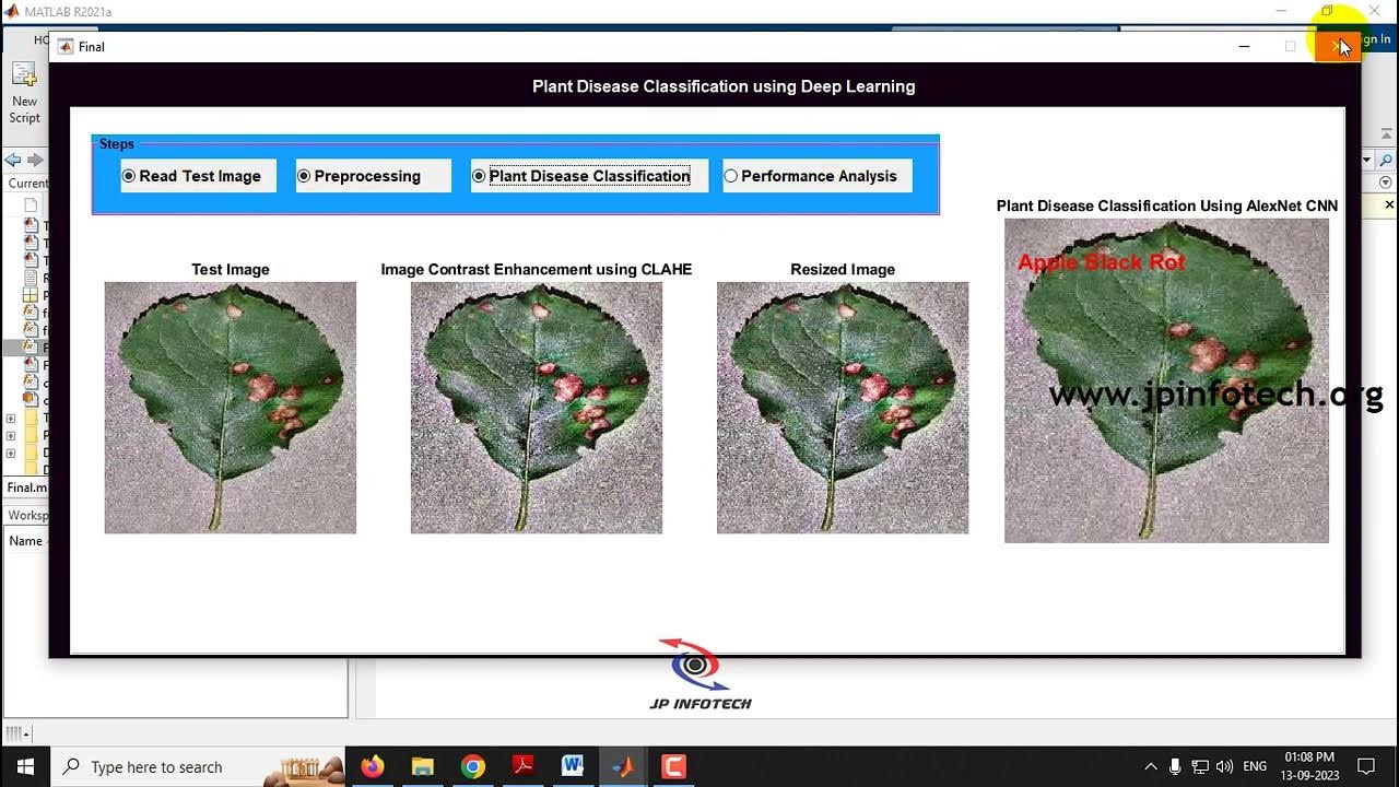 Identification of Plant Disease from Leaf Images Based on Convolutional ...