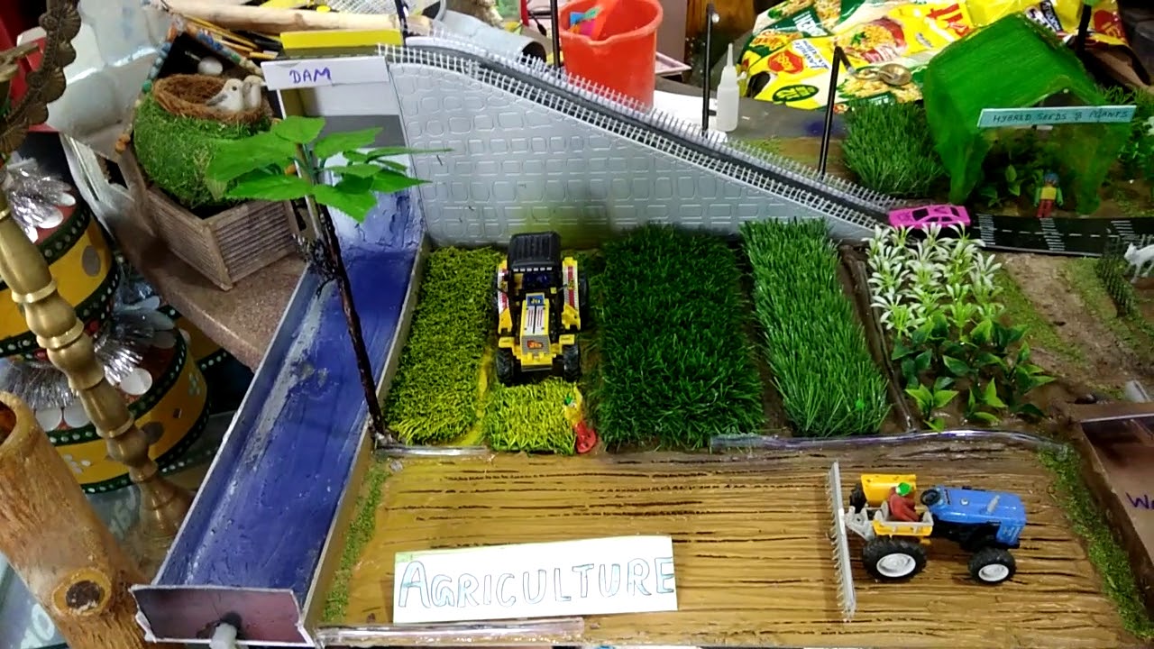Model of agriculture - YouTube