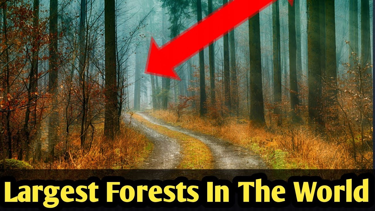 Dangerous Jungles Of The World