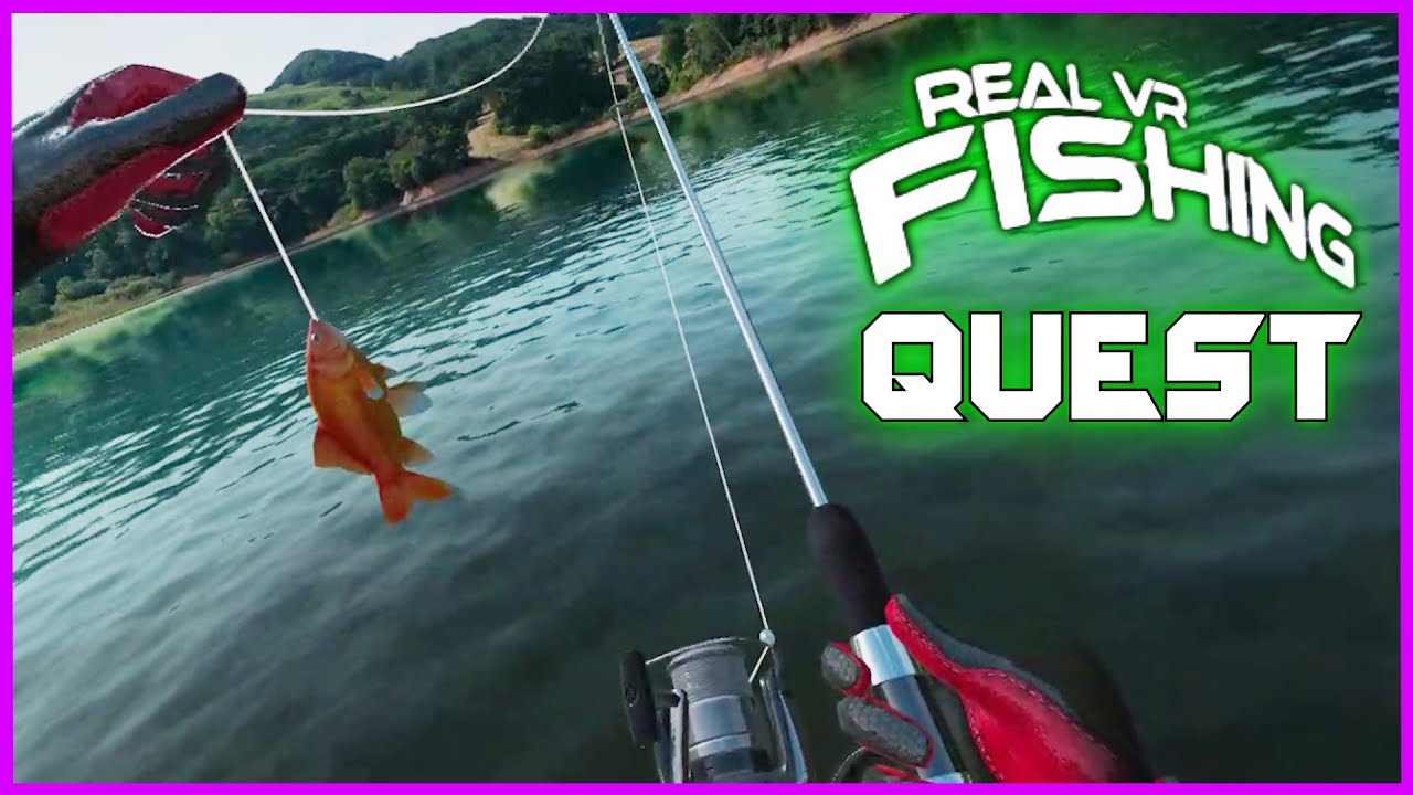 Real VR Fishing Together Edition Oculus Quest - I'm Catching Goldfish ...