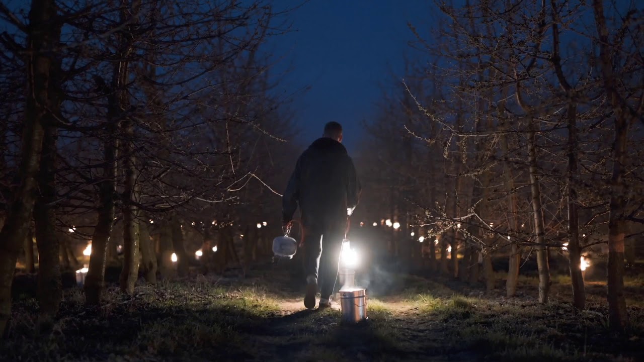 SADOX - świece sadownicze - YouTube