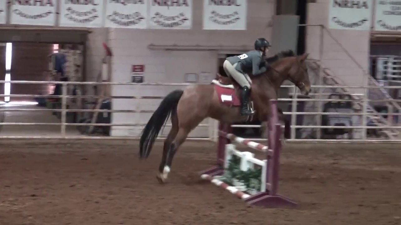 WTAMU'17: Michelle Haskins - Open Fences Day 2 - YouTube