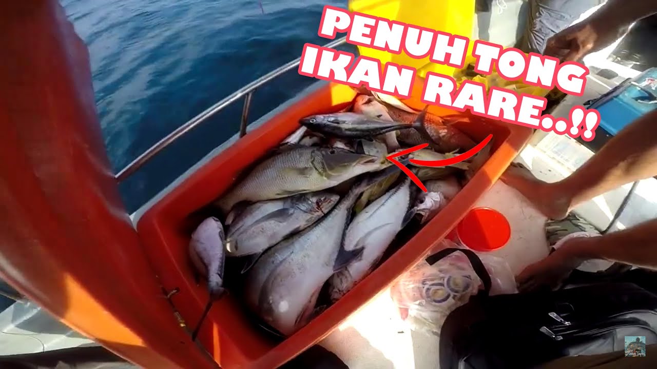 STRIKE IKAN PELIK-PELIK DI TUKUN PERAK_!!! - YouTube