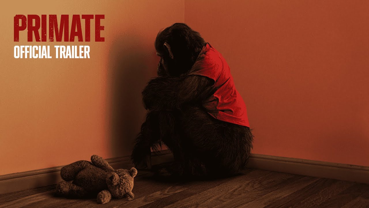 Primate | Official Trailer | Paramount Pictures UK - YouTube