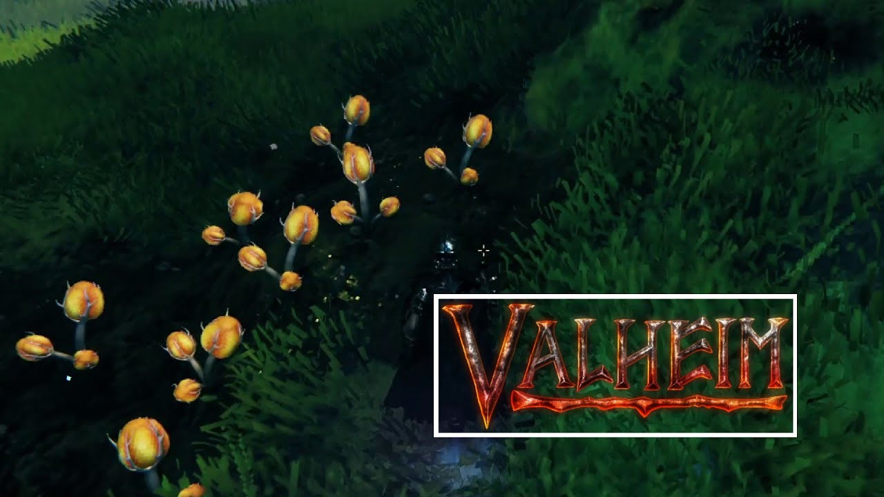 Valheim 111 - What's in the Cauldron Upgrade? - YouTube
