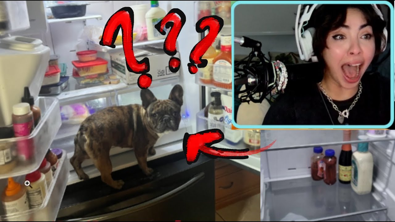 THE WEIRDEST FRIDGES IVE EVER SEEN - CHAT FRIDGE REVIEW - YouTube
